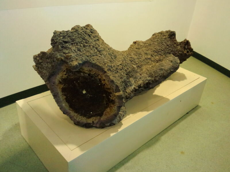 Fulgurites: Fossilized Lighting Bolts Shed Light on Previous Ancient ...