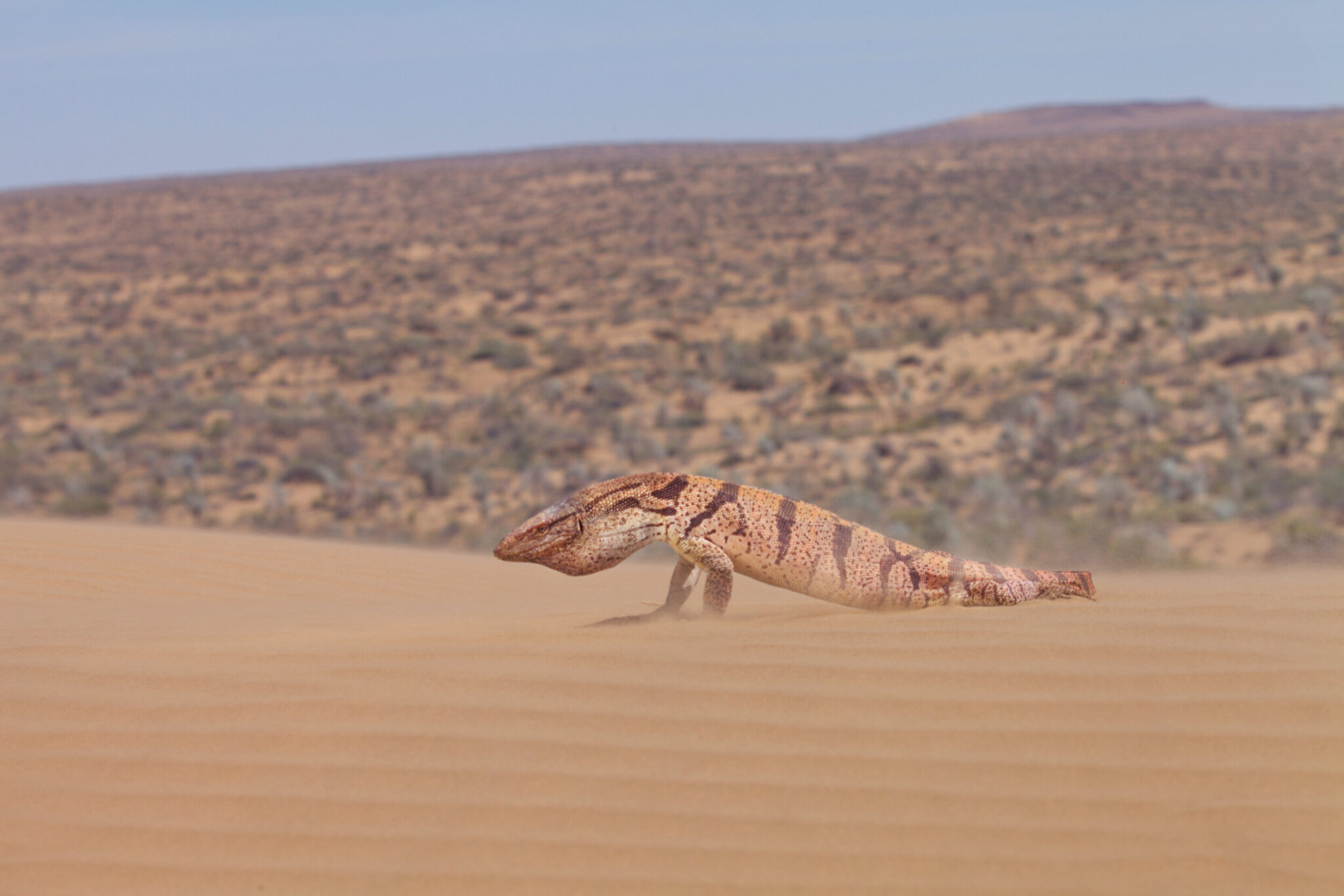 UNESCO Heritage Sites Class of 2023: Central Asia Winning Out